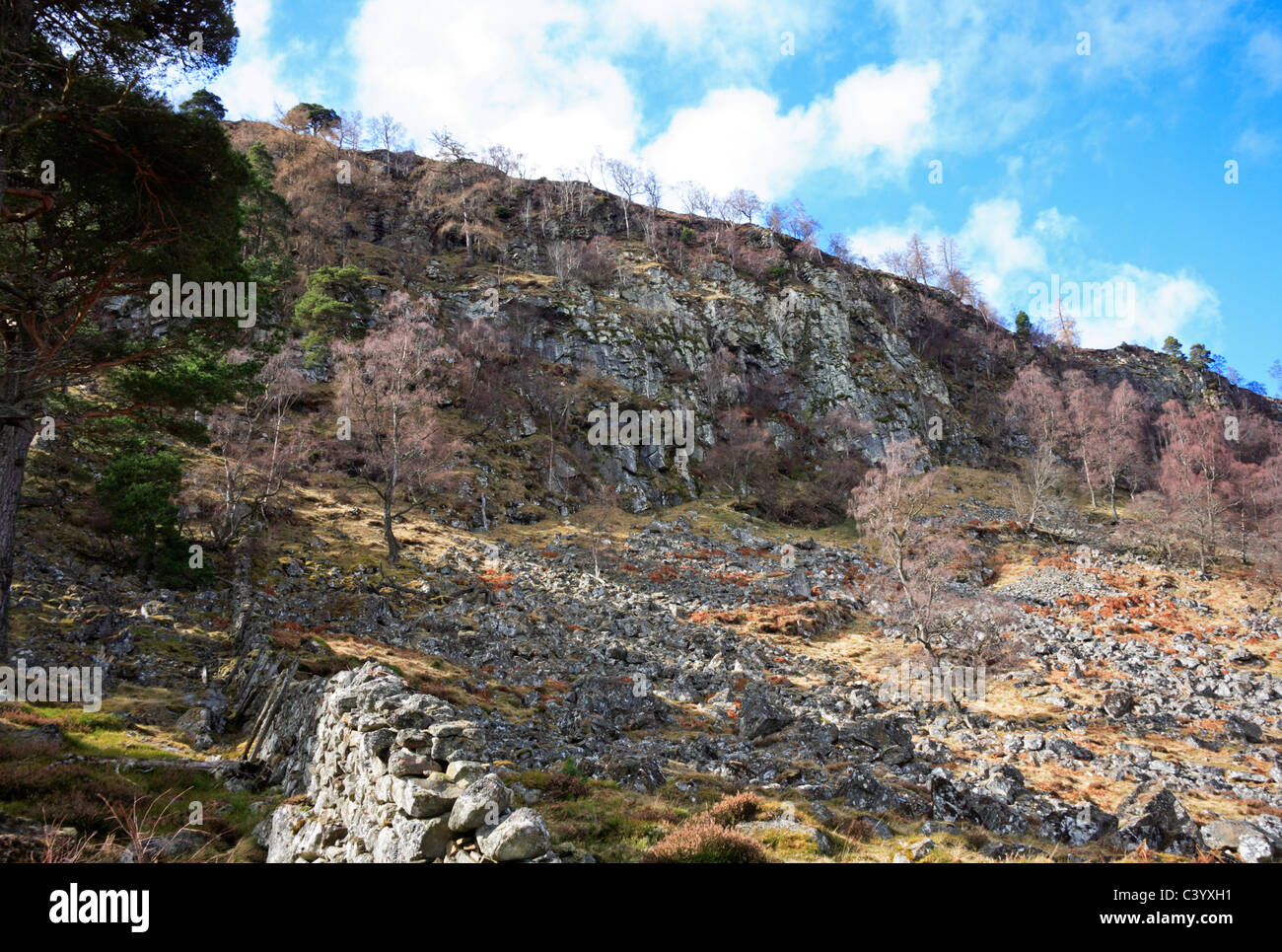 Craig Leek viewed from the Keiloch circular walk near Felagie, Braemar ...