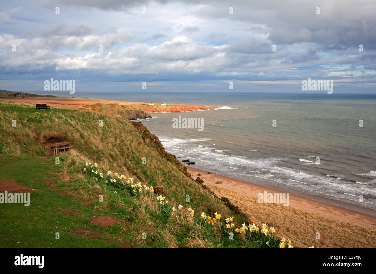 A view of the cliffs and beach at St Cyrus, Aberdeenshire, Scotland ...