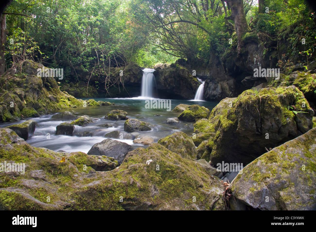 Stunning tropical grotto, pool and small waterfall, near Hana, Maui ...