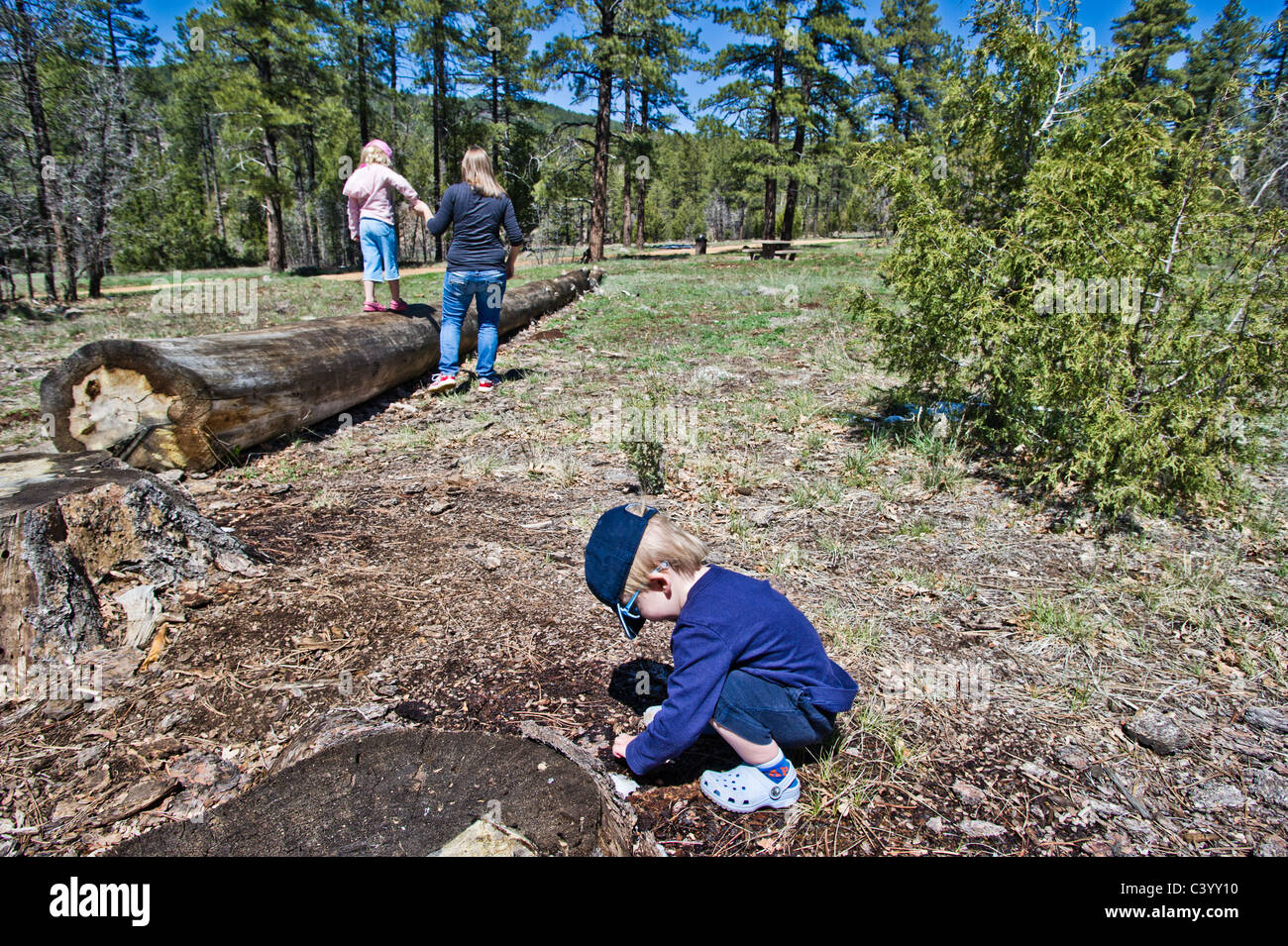 Girl walking along fallen log helped by female adult. Small boy looking ...