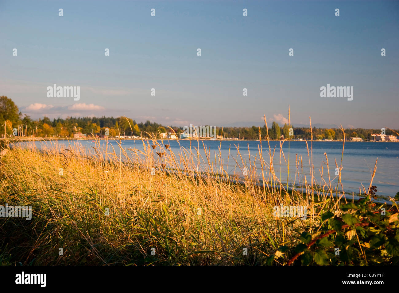 The seaside community of Birch Bay in Northwestern Washington State ...