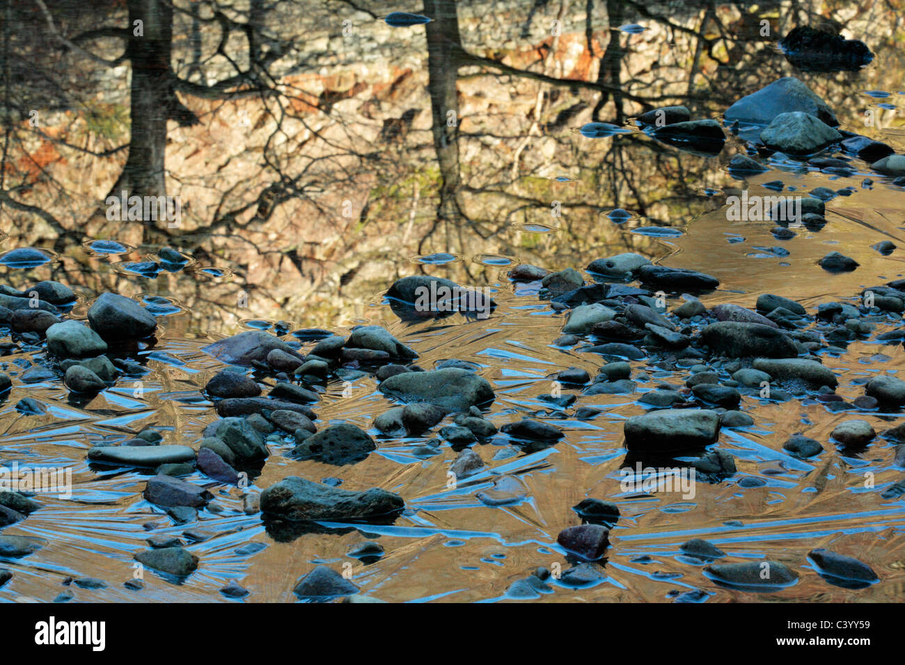 Warm reflection of bare trees in winter mix with the cool tones of ...