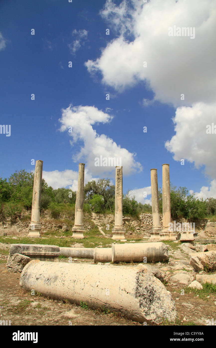Samaria, Sebastia, ruins of the forum of the Roman city Sebaste Stock ...