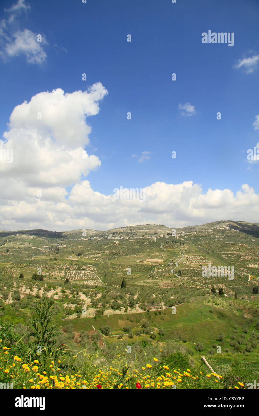 Sebastia samaria hi-res stock photography and images - Alamy