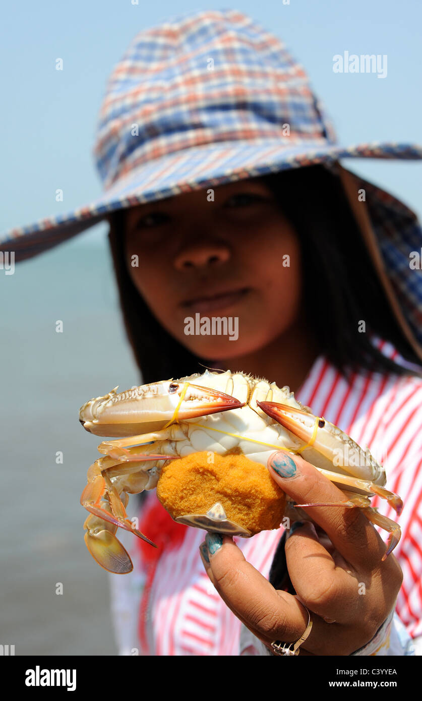 Kep girl crab hi-res stock photography and images - Alamy