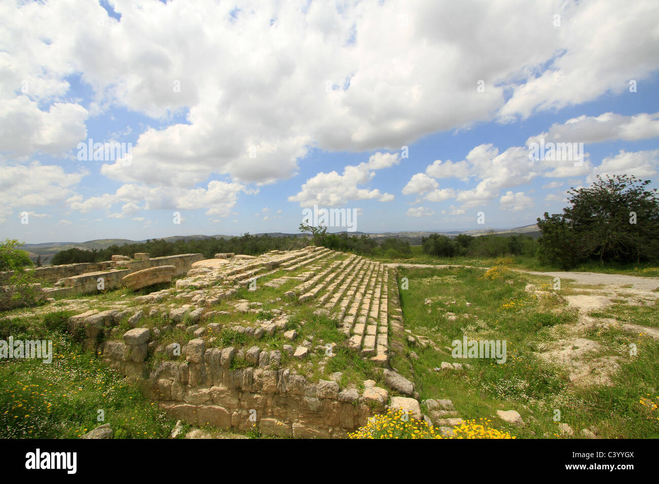 Samaria, Sebastia, the Temple of Augustus in the Roman city Sebaste ...