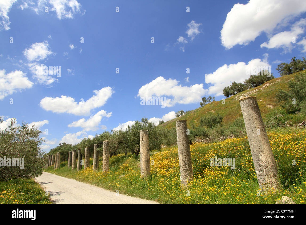 Sebastia Samaria High Resolution Stock Photography and Images - Alamy