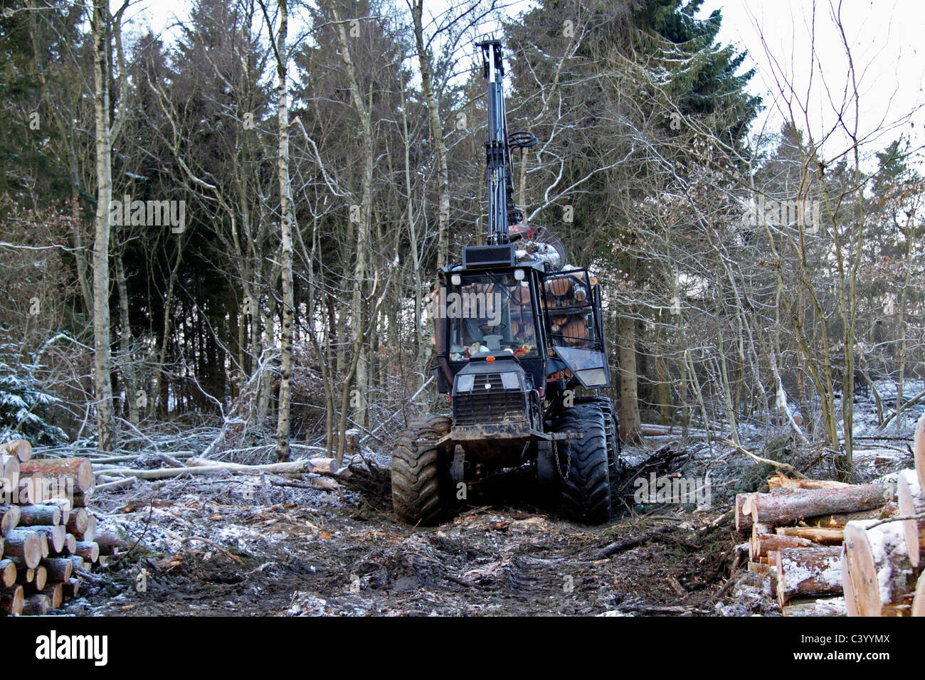 Timber harvesting machine hi-res stock photography and images - Alamy