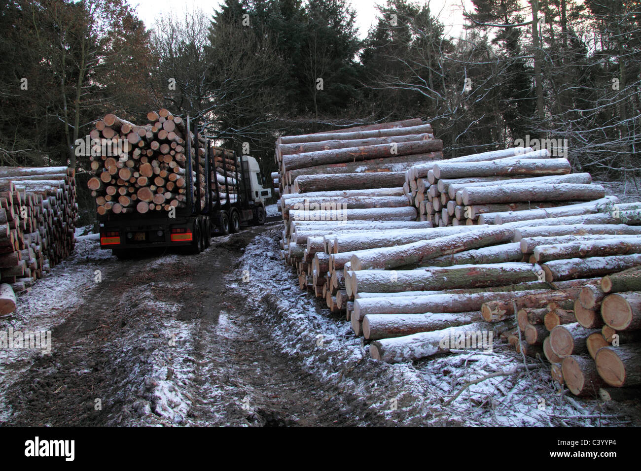 Lorry transporting logs hi-res stock photography and images - Alamy