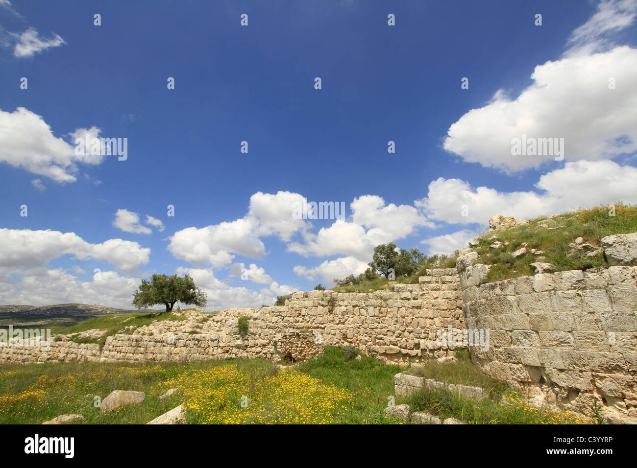 Samaria, Sebastia, the Western gate of the Roman city Sebaste, built by ...
