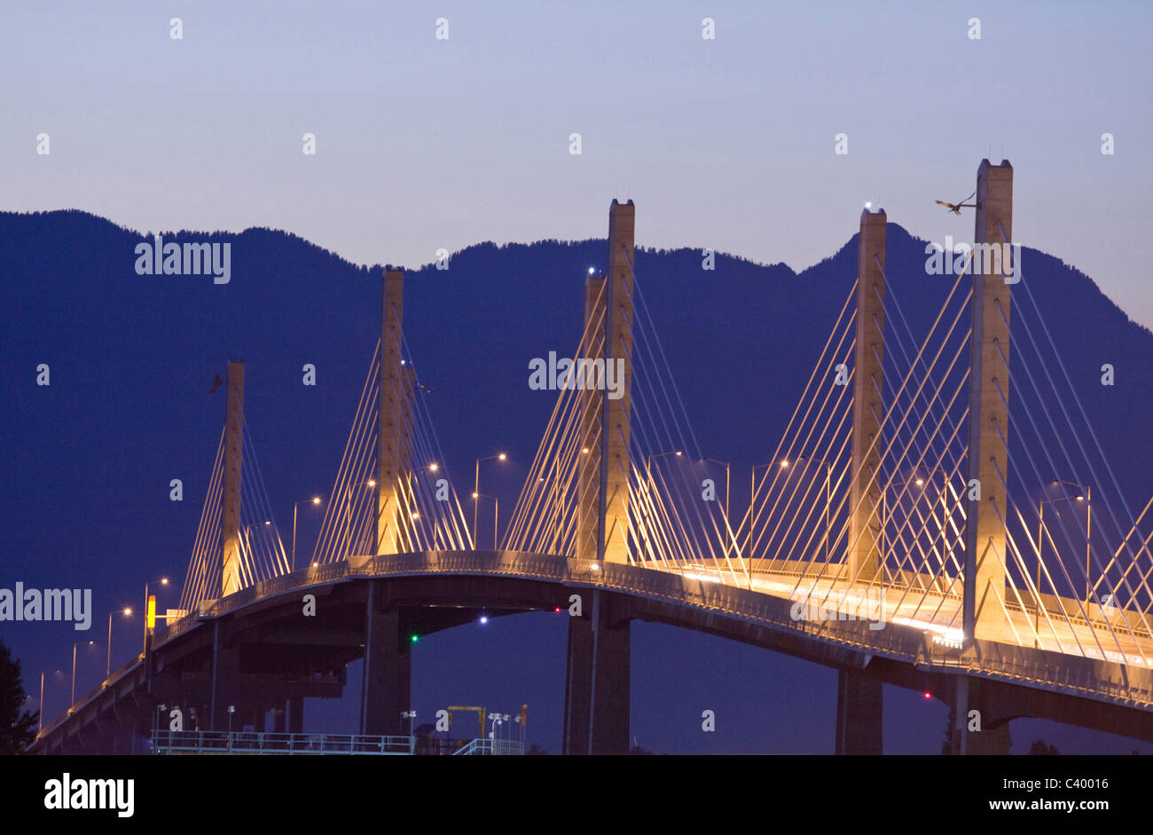 Golden Ears Bridge lit up at night. Coast Mountains behind Stock Photo ...