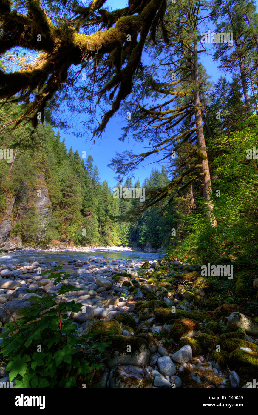 Chehalis river hi-res stock photography and images - Alamy