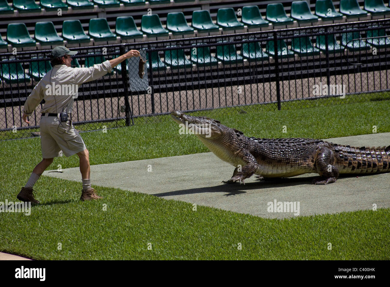 Steve Irwin Croc Shoe Green