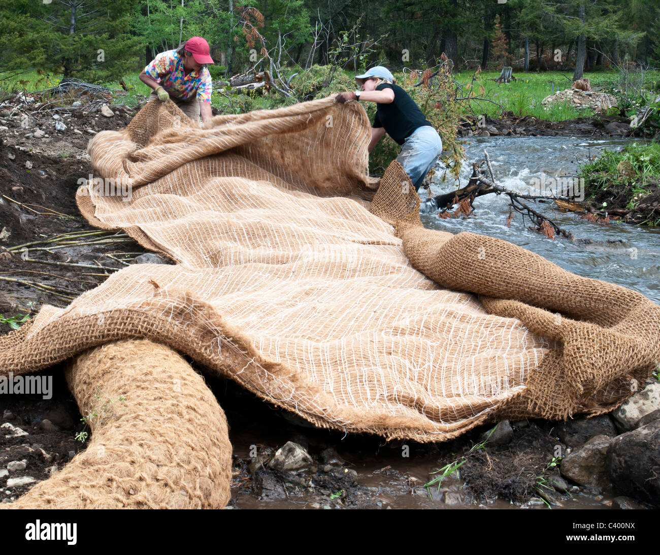 The layer of Coconut Coir is stretched out during a portion of the ...