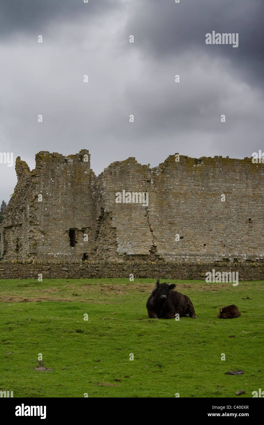 Bew Castle at Bewcastle in North Cumbria Stock Photo - Alamy
