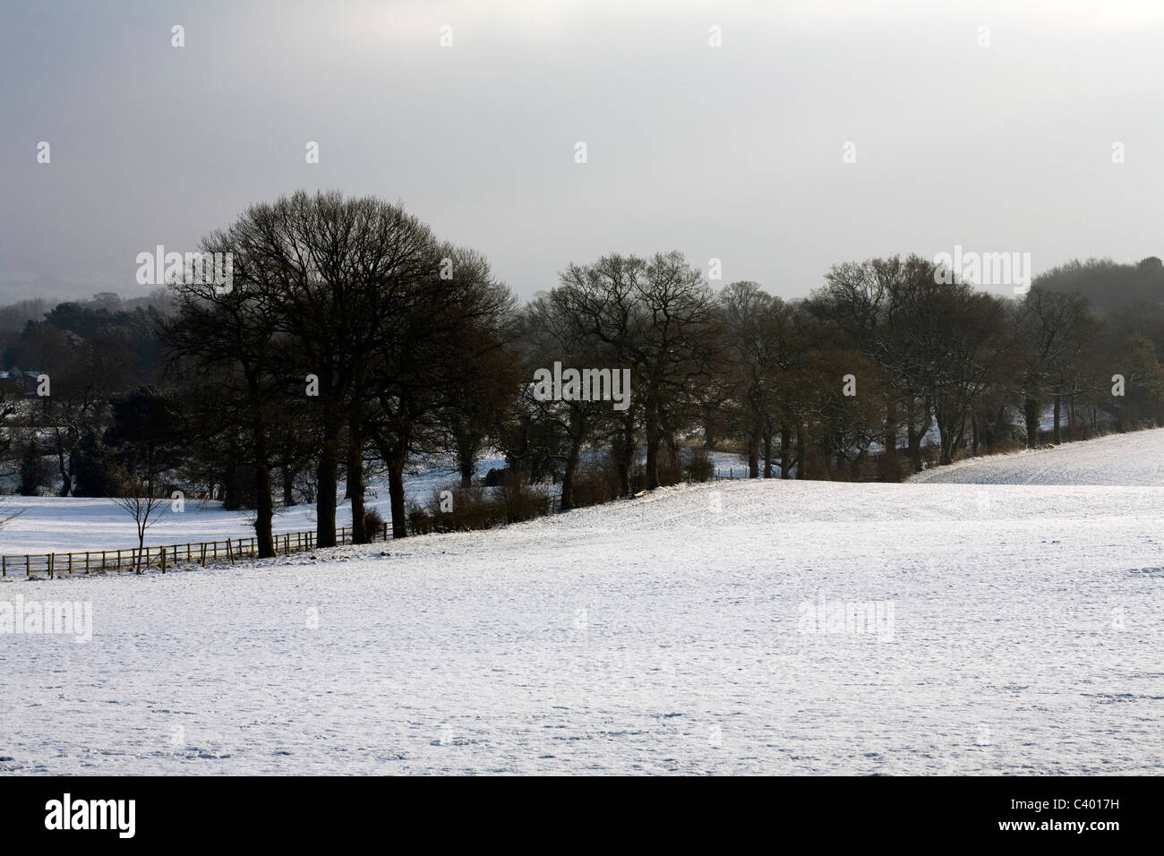 Winter hedges snow hi-res stock photography and images - Alamy