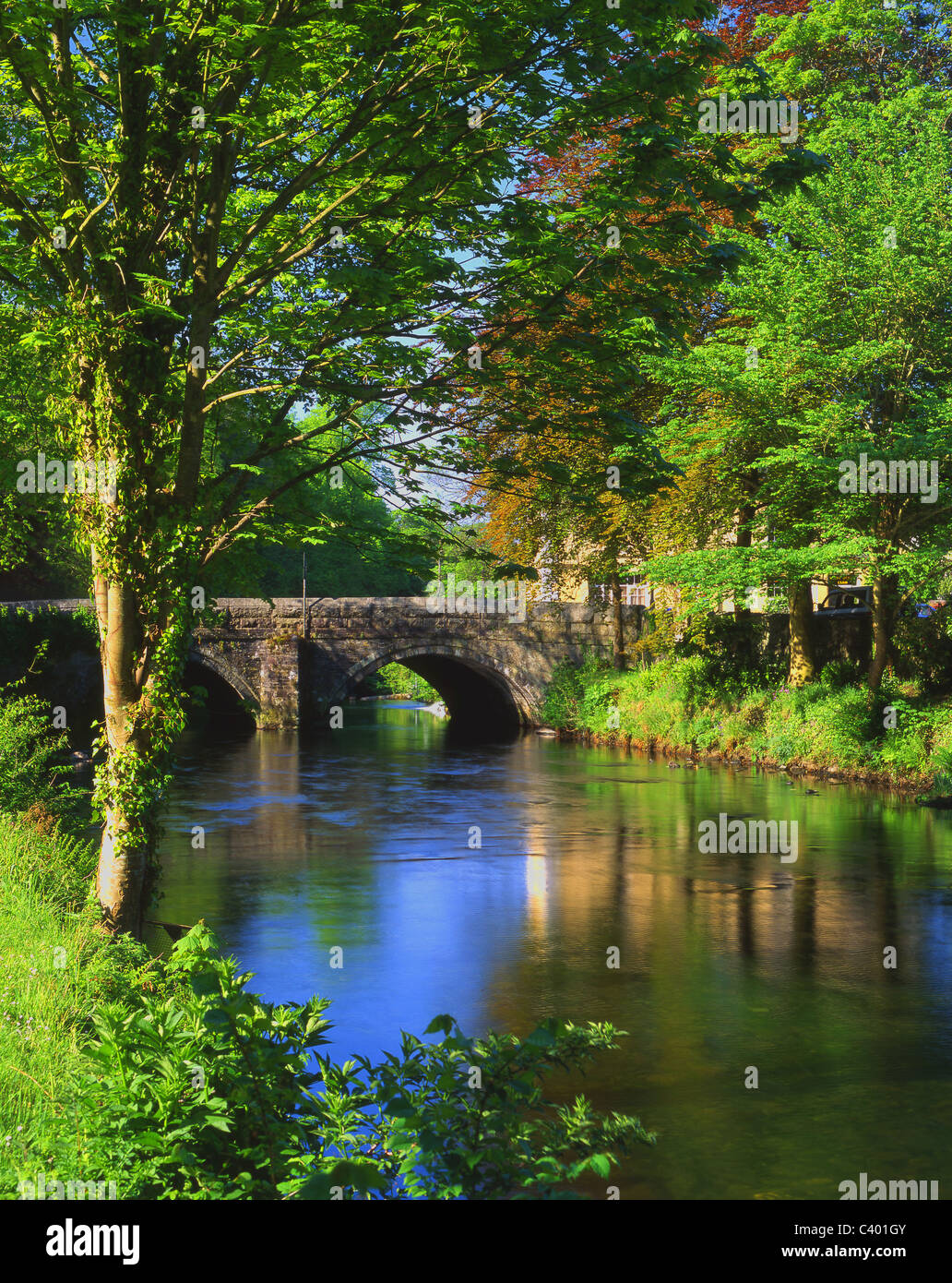 UK,Devon,Tavistock,Abbey Bridge & River Tavy on a summer morning Stock ...