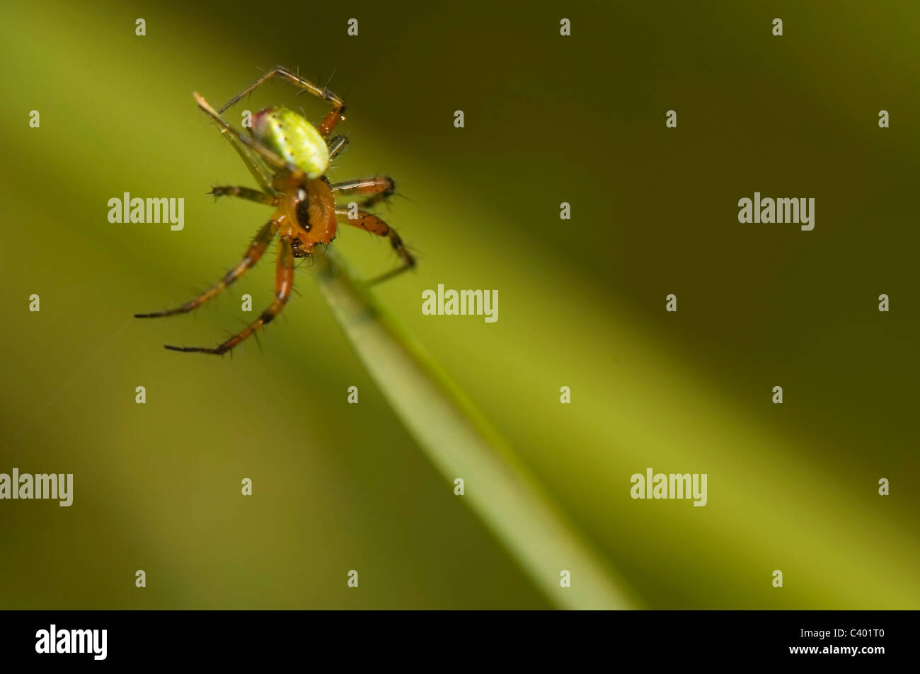 Small web format hi-res stock photography and images - Alamy