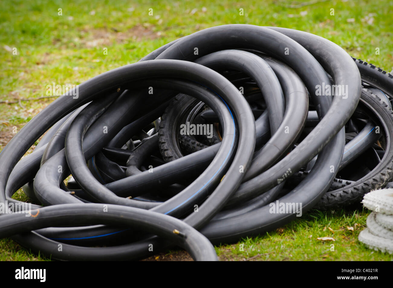 Stack of bicycle tubes used at the Missoula Montana Festival of Cycles ...