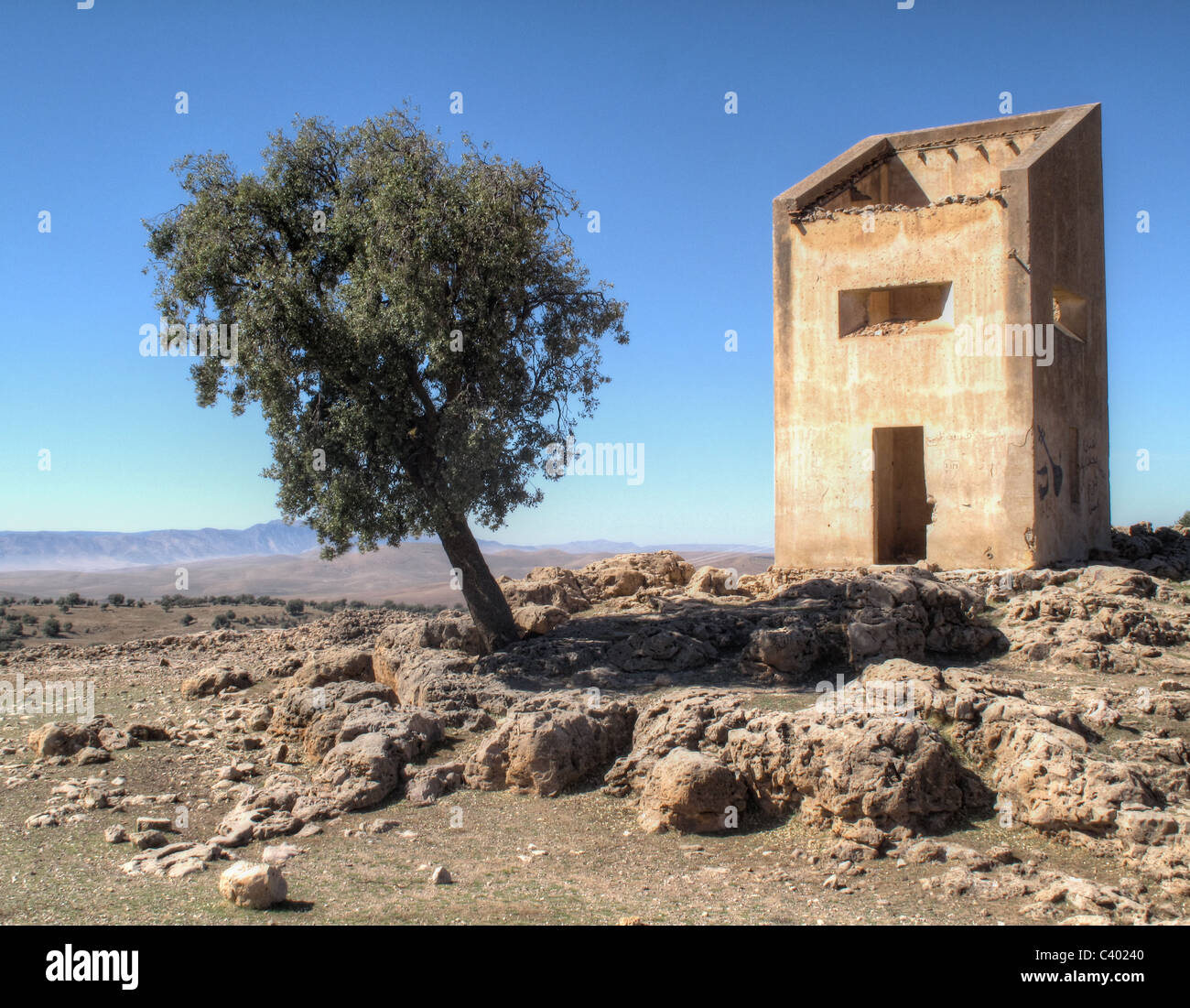 Tree and house Morocco Stock Photo - Alamy