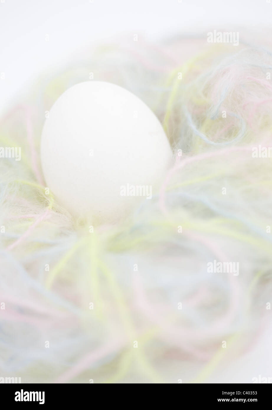 Birth from egg Stock Photo - Alamy