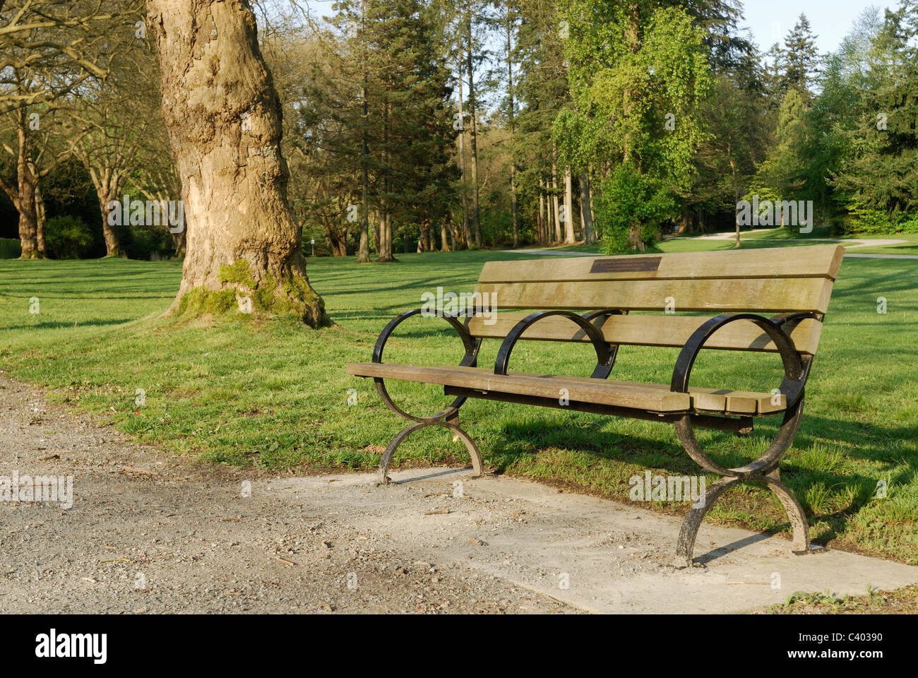 Bench in stanley park vancouver hi-res stock photography and images - Alamy