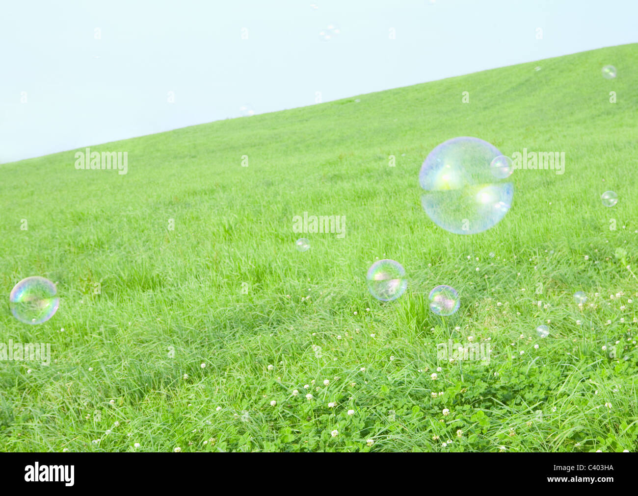 Grass field and bubbles Stock Photo - Alamy