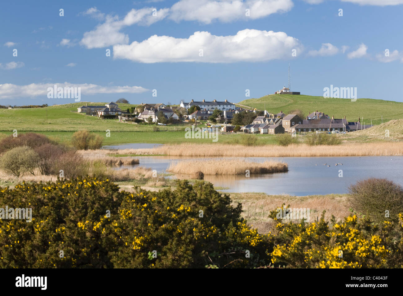 Newton Pool Nature Reserve, at Low Newton By the Sea on the ...
