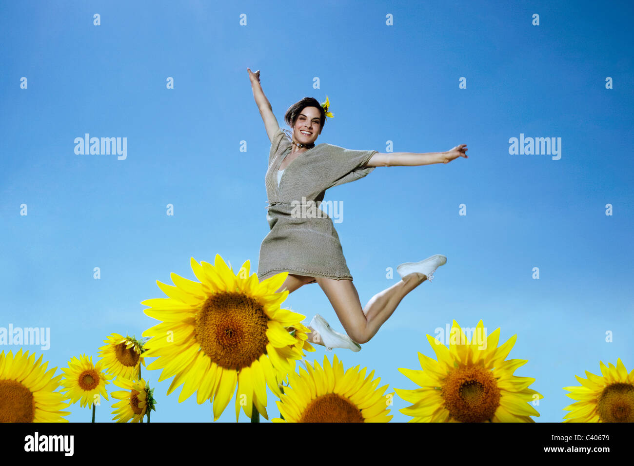 Woman in sunflower field Stock Photo - Alamy