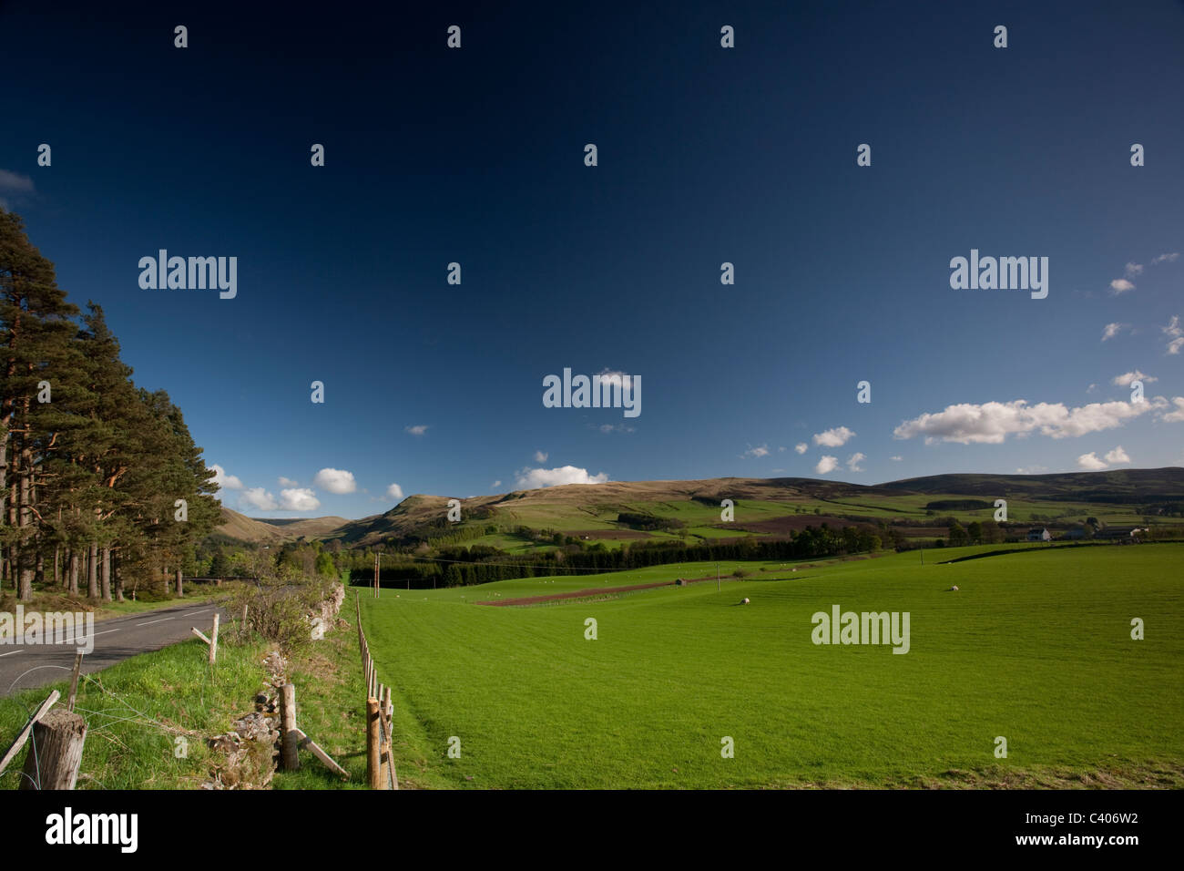 An early evening view at the roadside looking south towards Gleneagles ...