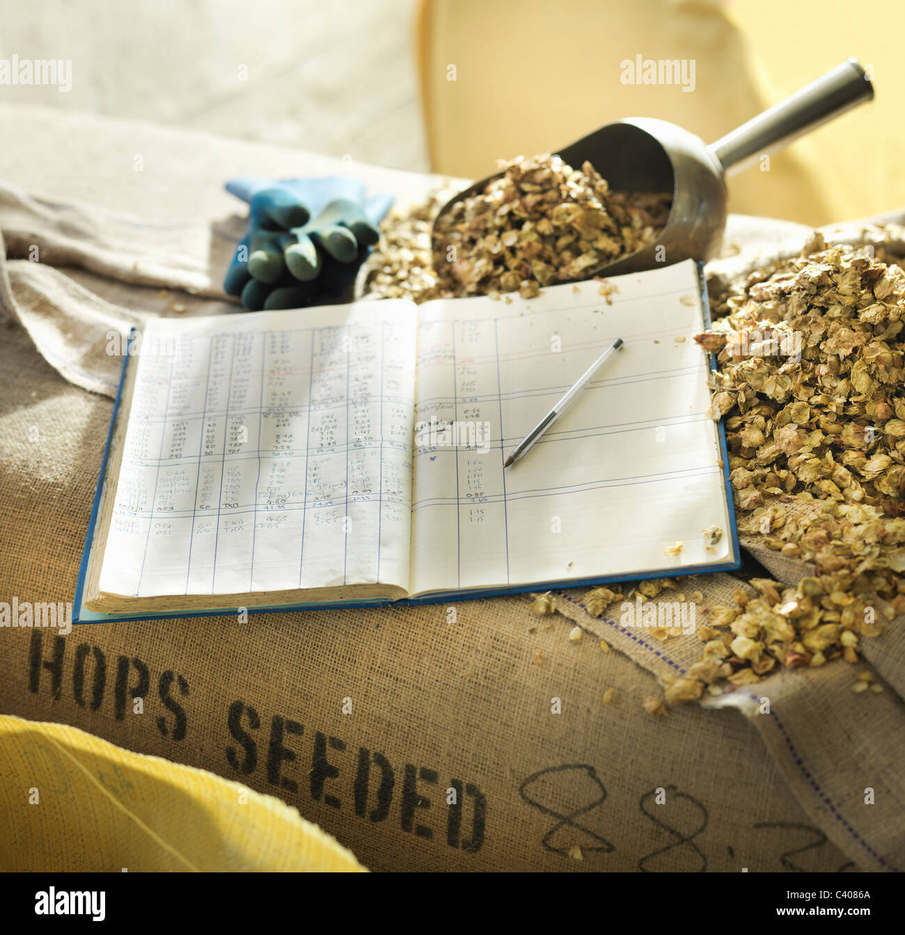 Business log book hi-res stock photography and images - Alamy