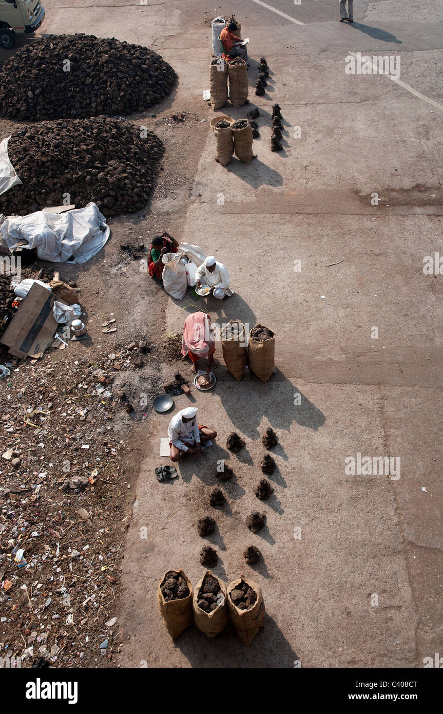 India, Maharashtra, Nashik Drying cow dung for fuel Stock Photo - Alamy