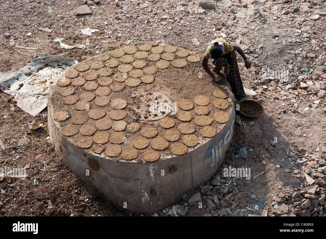 Maharashtra cow hi-res stock photography and images - Alamy