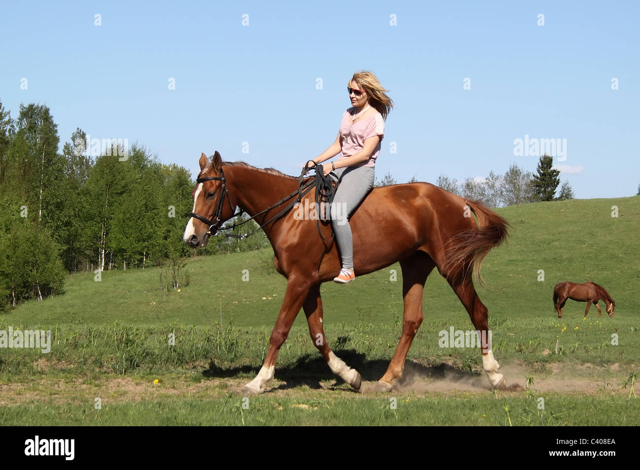 Riding A Horse Without A Saddle High Resolution Stock Photography and ...