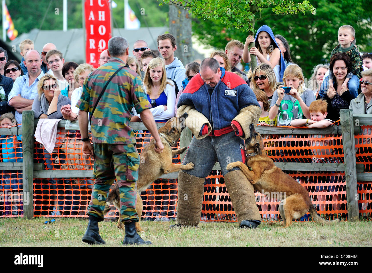Two military working dogs hi-res stock photography and images - Alamy