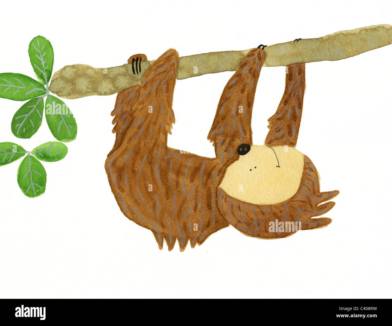 Illustration of a sloth hanging from a branch Stock Photo - Alamy