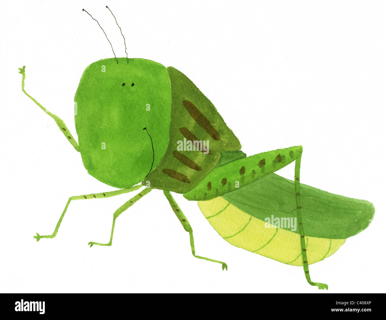 Grasshopper Diagram For Kids