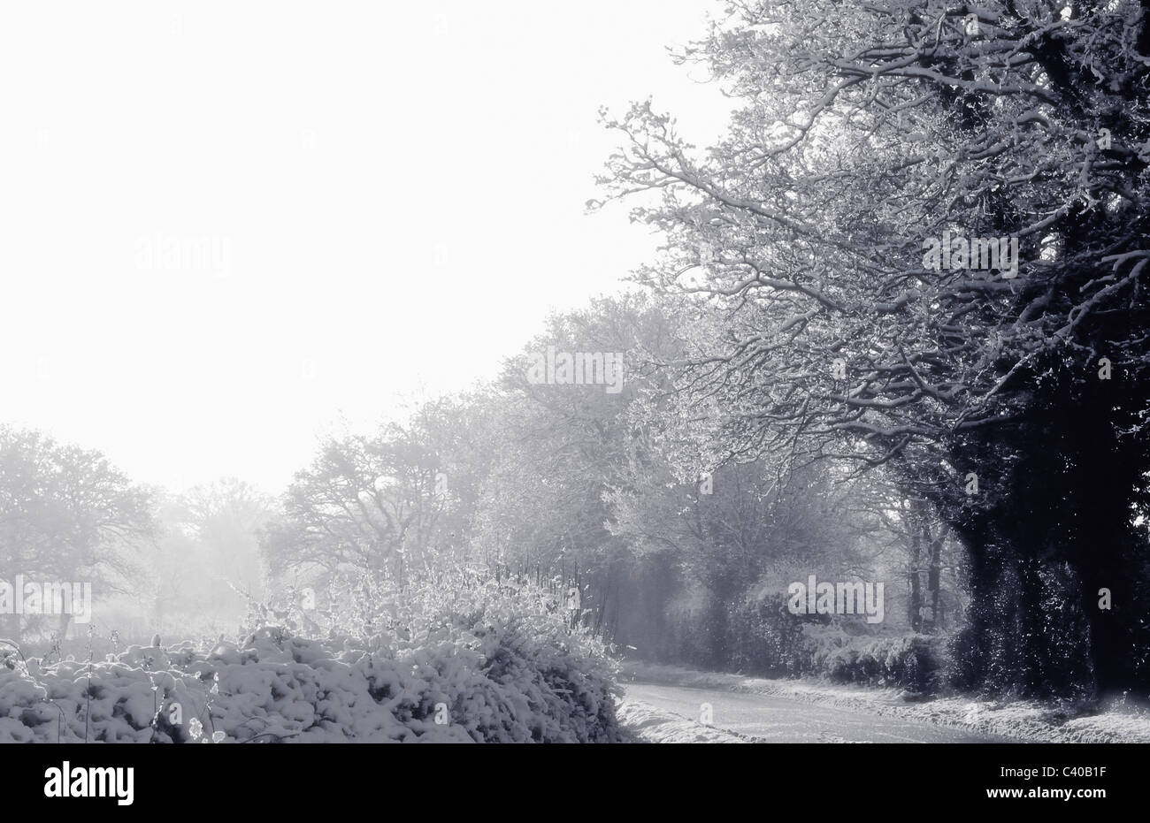 Black/white photograph of road near Shaw Lane, Tadley, Hampshire ...