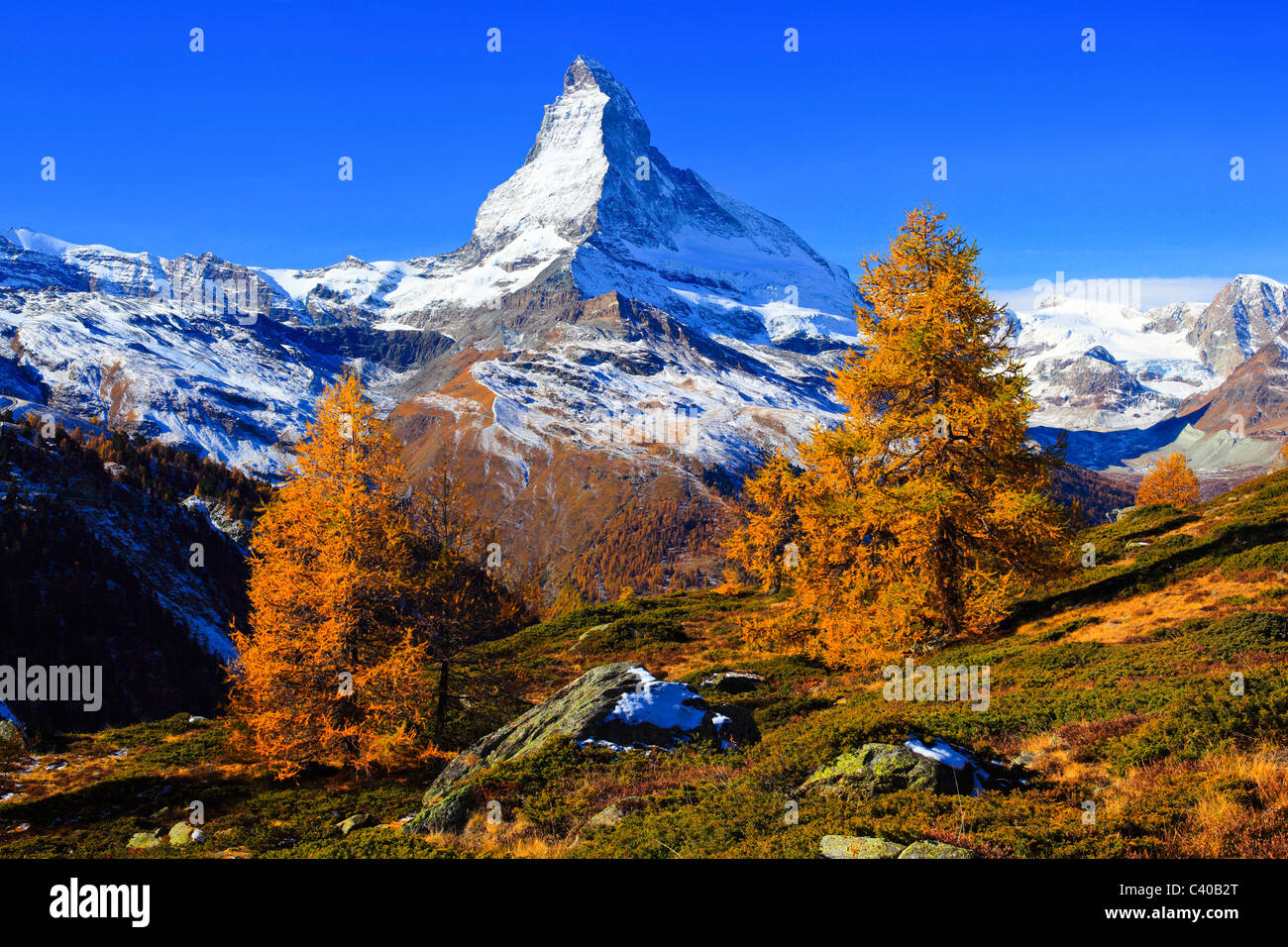 Alps, Alpine panorama, view, tree, mountain, mountains, mountain ...