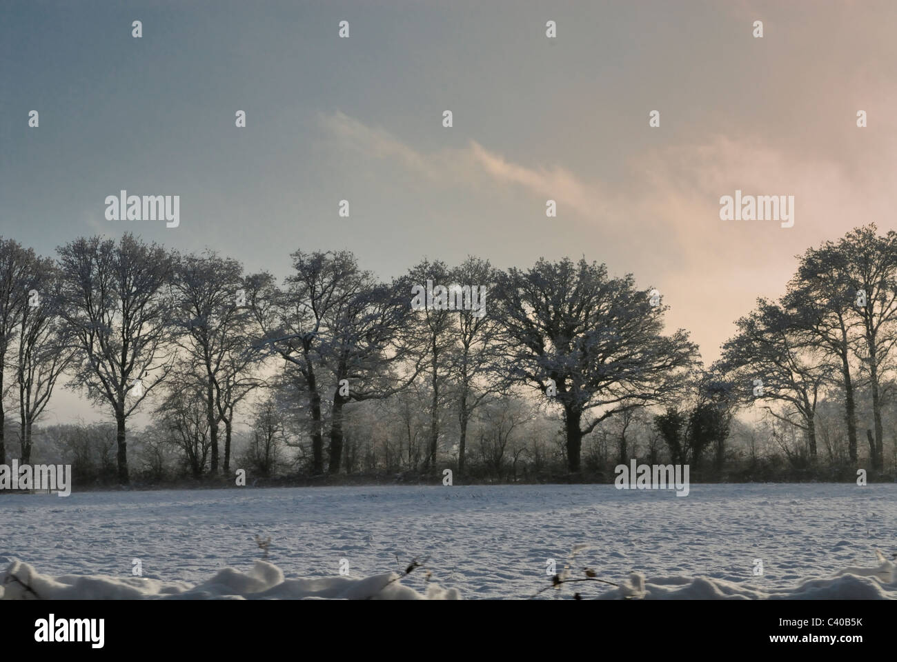 Tadley hampshire hi-res stock photography and images - Alamy