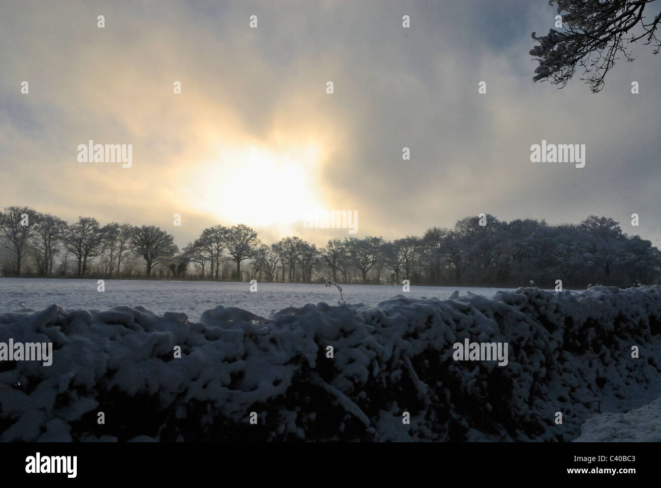 Taken near Shaw's Lane, Tadley, Hampshire, England, UK United Kingdom ...