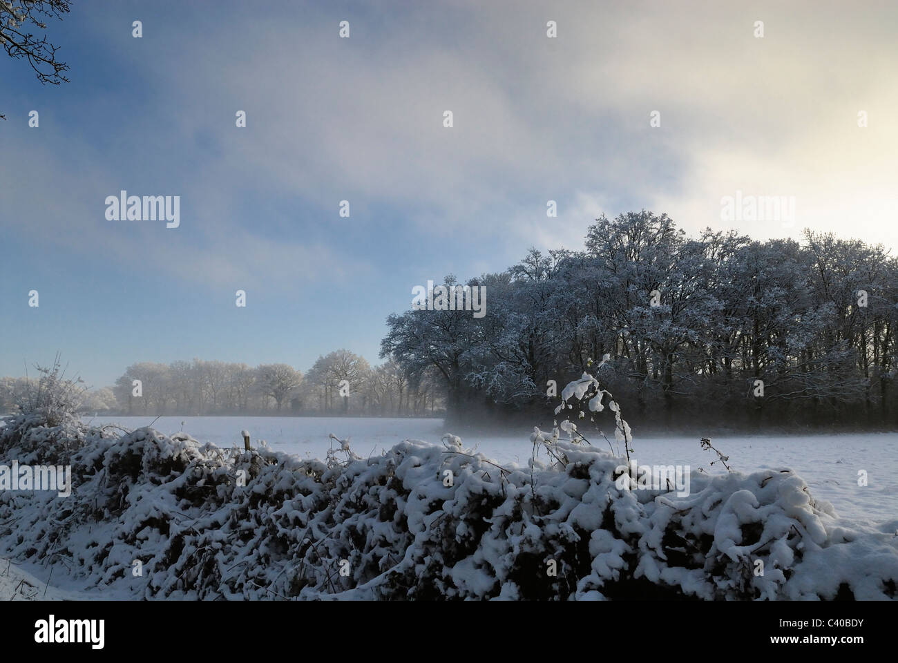 Fields on Bishopswood lane, Tadley, Hampshire, England, UK United ...