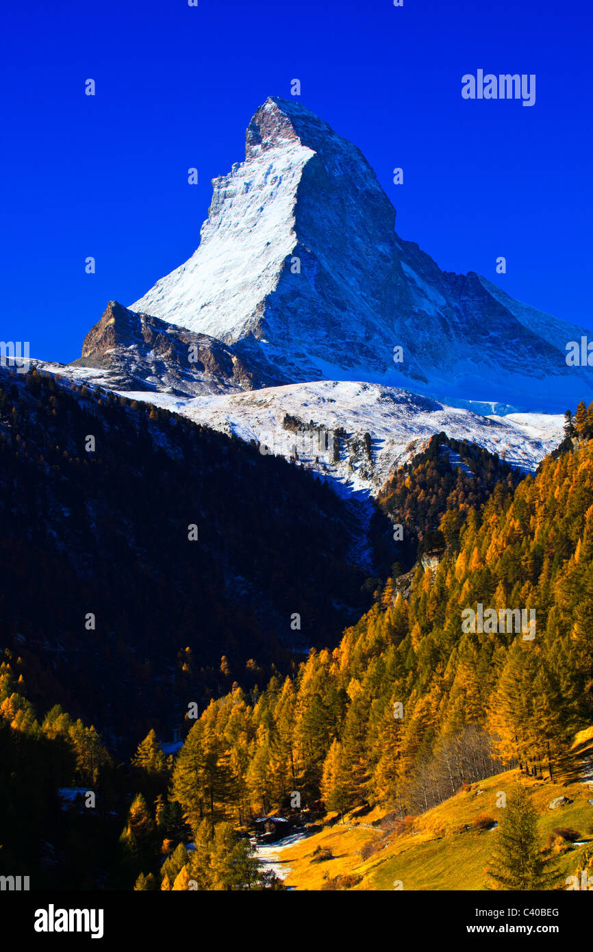 Alps, Alpine panorama, view, tree, mountain, mountains, mountain ...