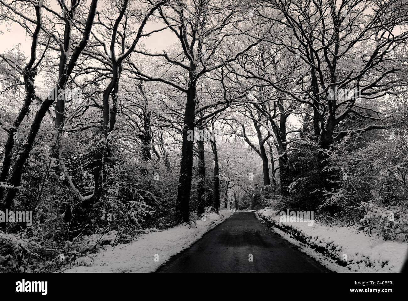 Road going towards Heath End Road. Taken on Bishopswood lane, Tadley ...