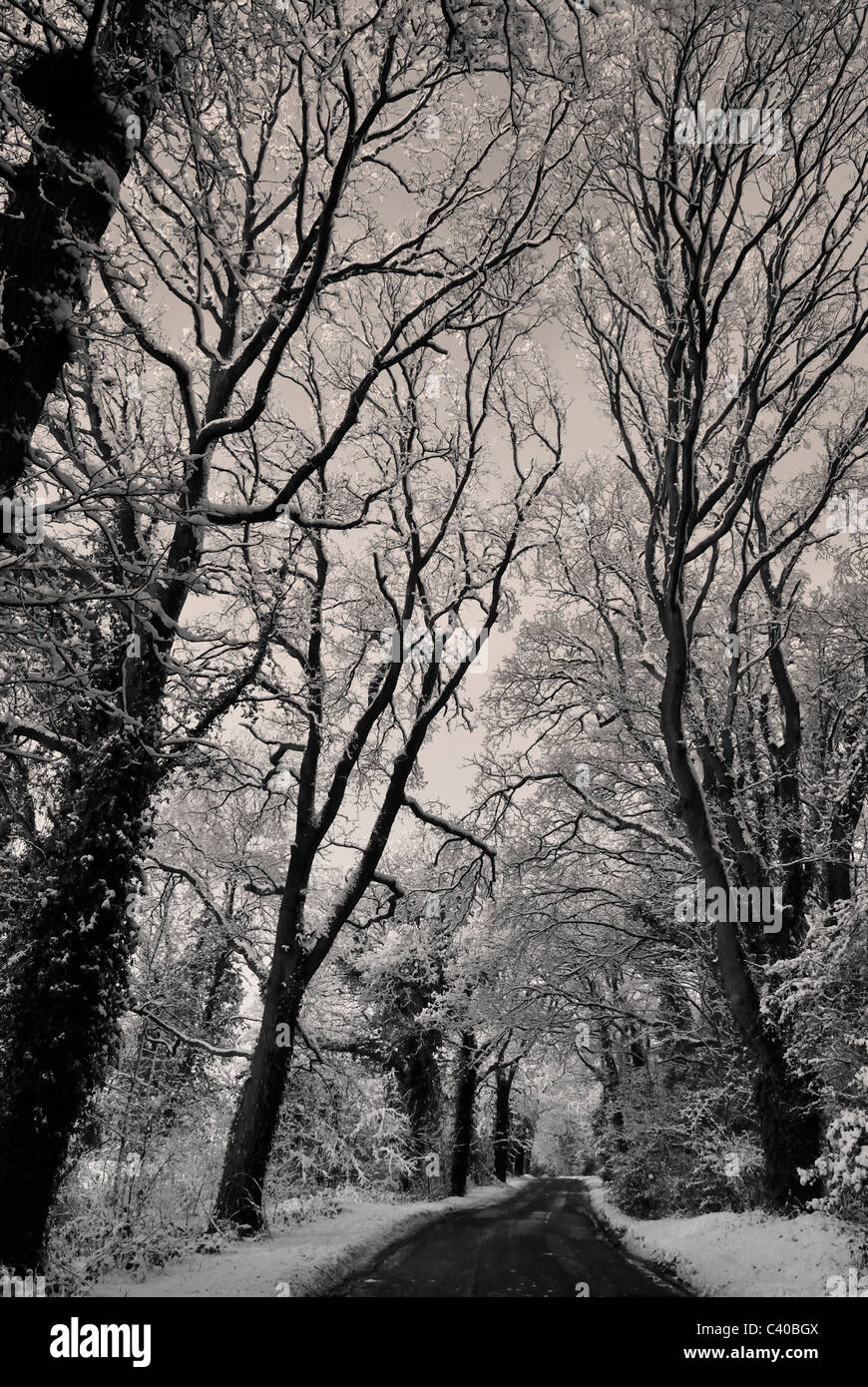 Tadley hampshire hi-res stock photography and images - Alamy