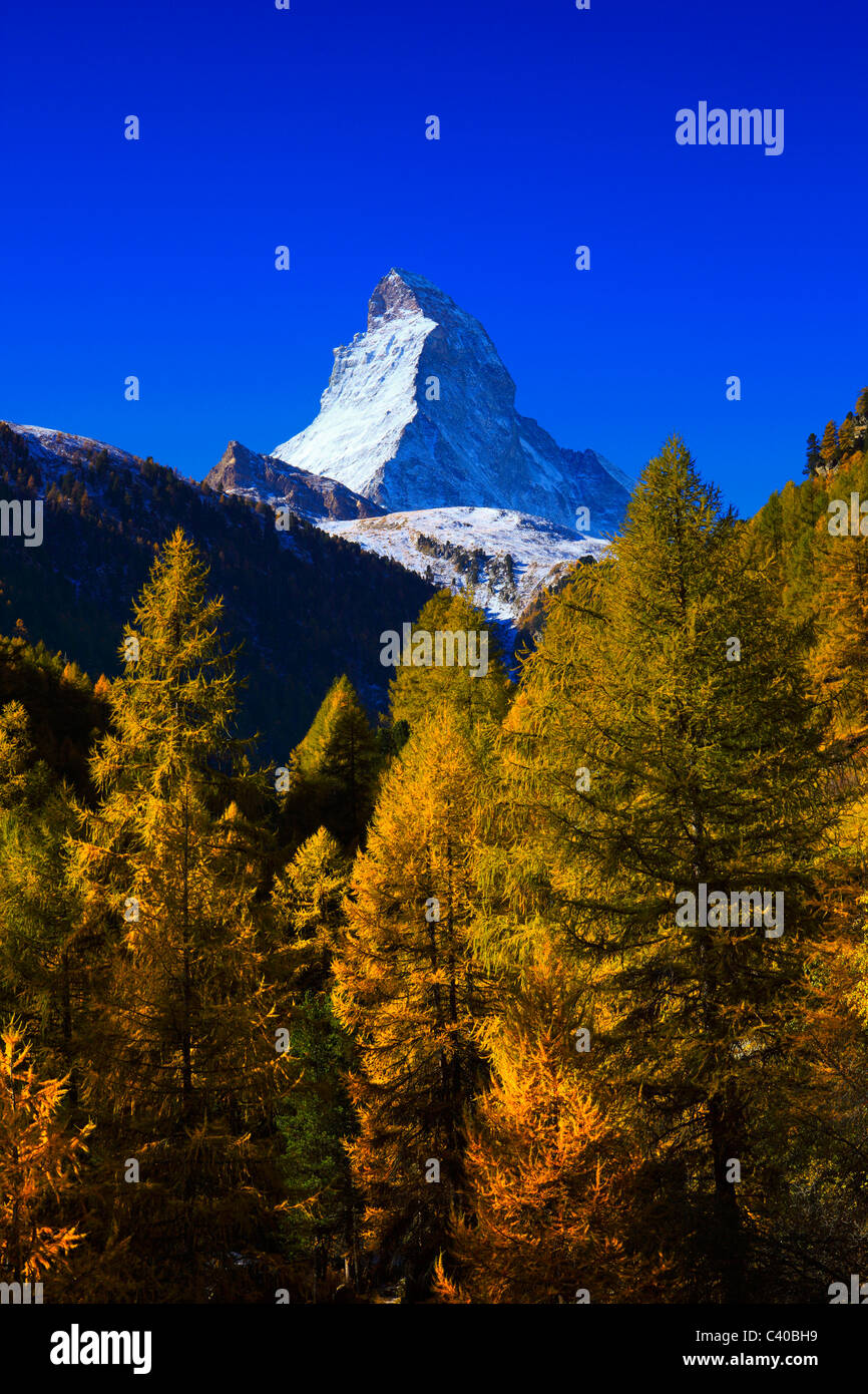 Alps, Alpine panorama, view, tree, mountain, mountains, mountain ...
