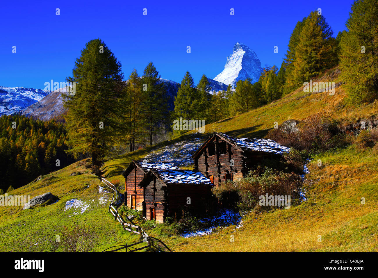 Point view trees mountains hi-res stock photography and images - Alamy