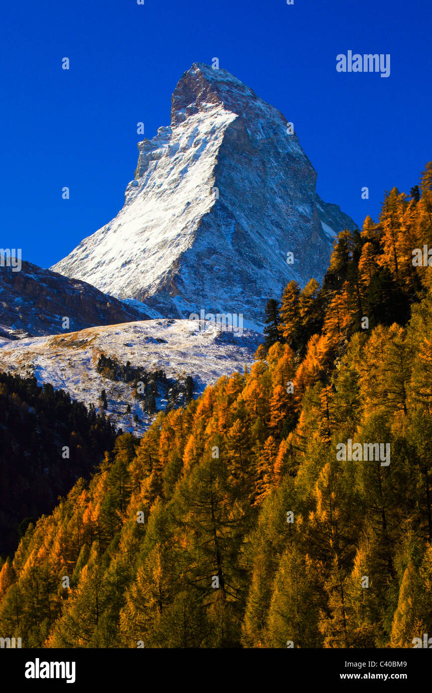 Alps, Alpine panorama, view, tree, mountain, mountains, mountain ...