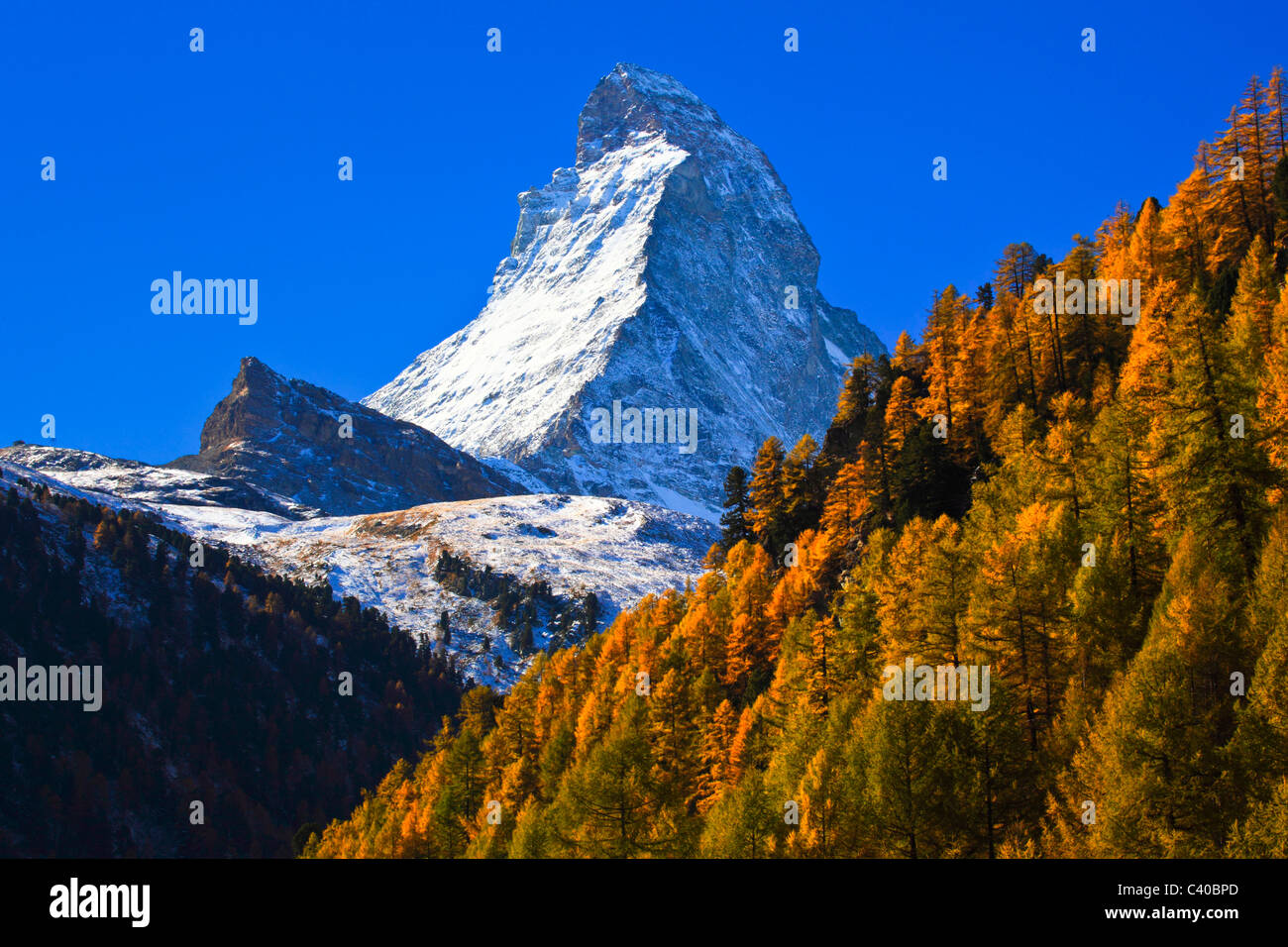 Alps, Alpine panorama, view, tree, mountain, mountains, mountain ...