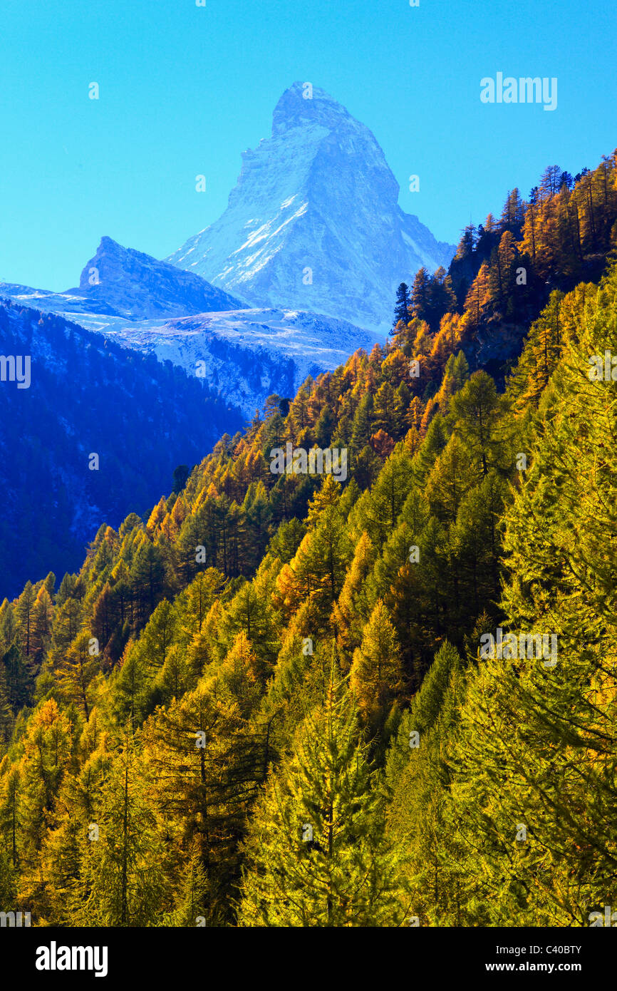 Alps, Alpine panorama, view, tree, mountain, mountains, mountain ...